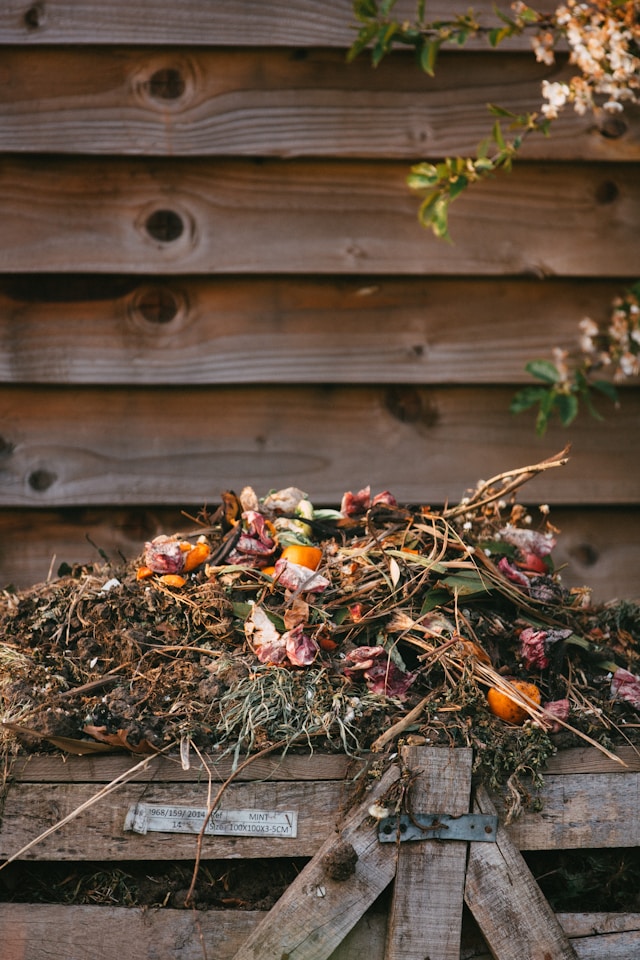 Beginner’s Guide to Cold Composting – Garden Review UK