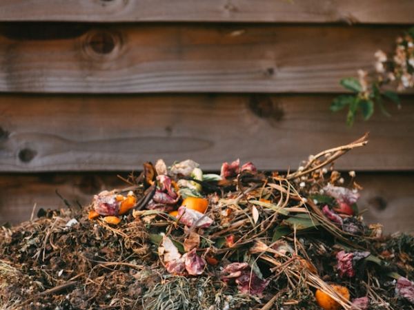Composting Guide – Garden Review UK