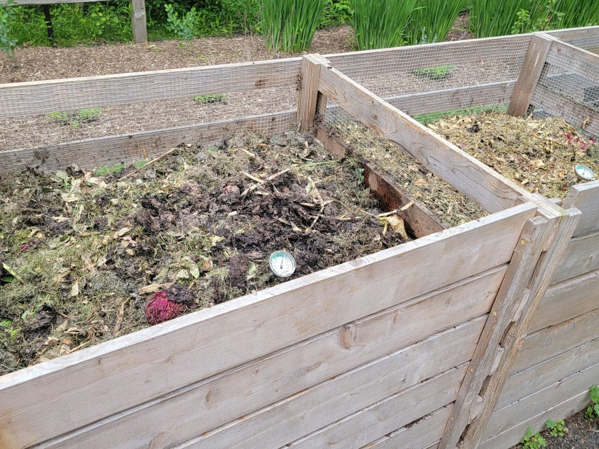 Composting Guide – Garden Review UK